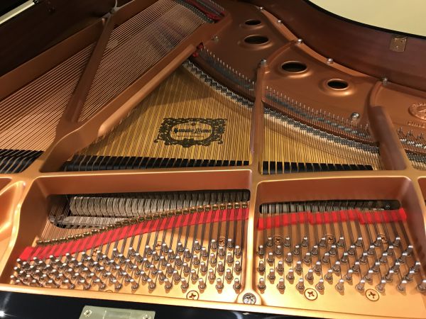 Buy Yamaha C3L Grand Piano - Lyra Piano Shop